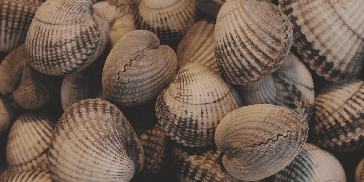 The Ritual for Self-Trust - tides before perfection