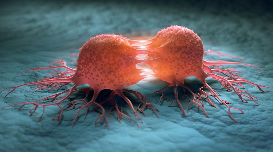 The Cancer Deception: How Modern Medicine's Fundamental ...