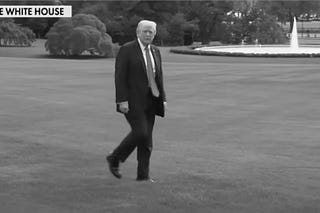 Jon Rappoport | Substack