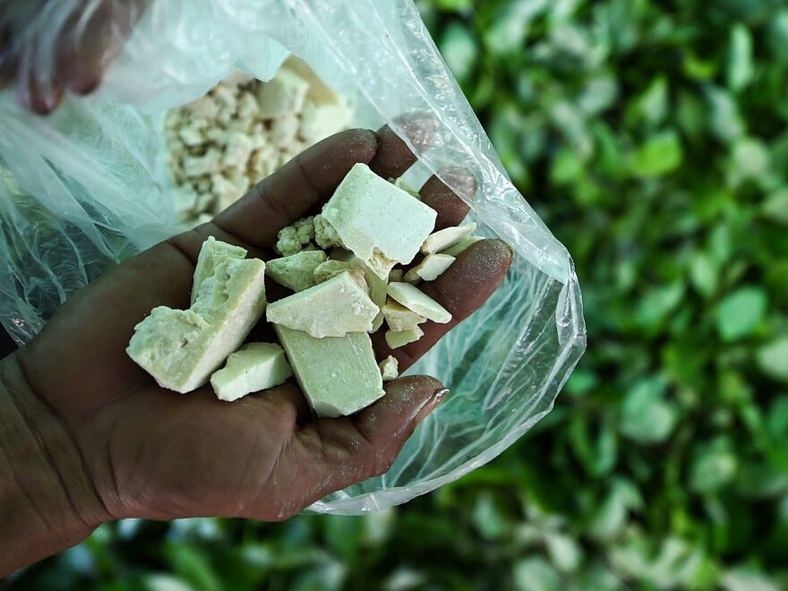 Drinking Coca Leaf In Colombia - by Sofie Land
