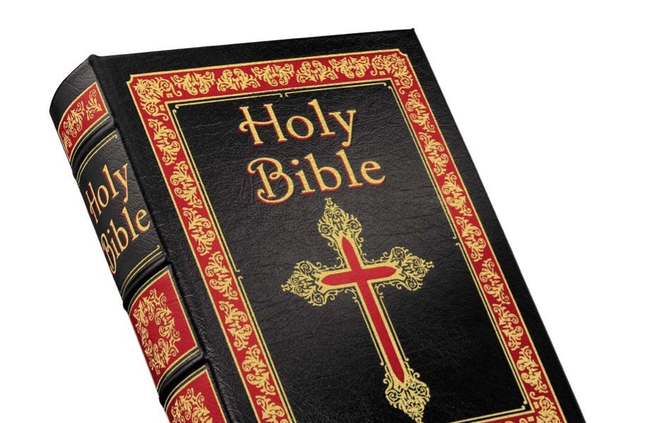 THE BIBLE SALESMAN - by Steve Johnson