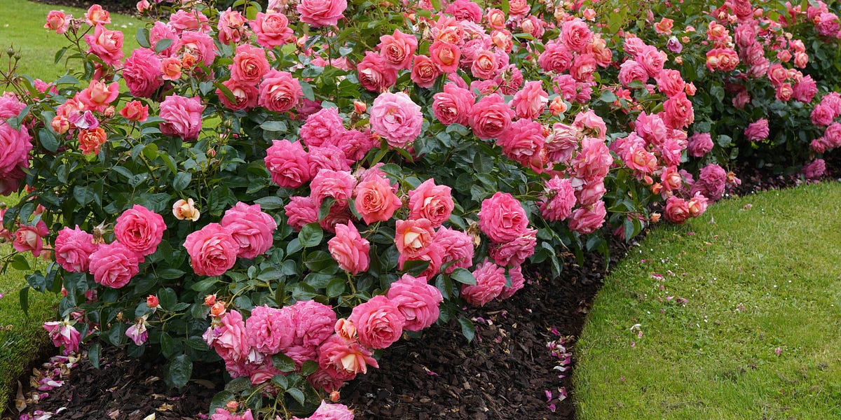 Ten List: July 2024 - by Megan Kristel - Megan’s Substack