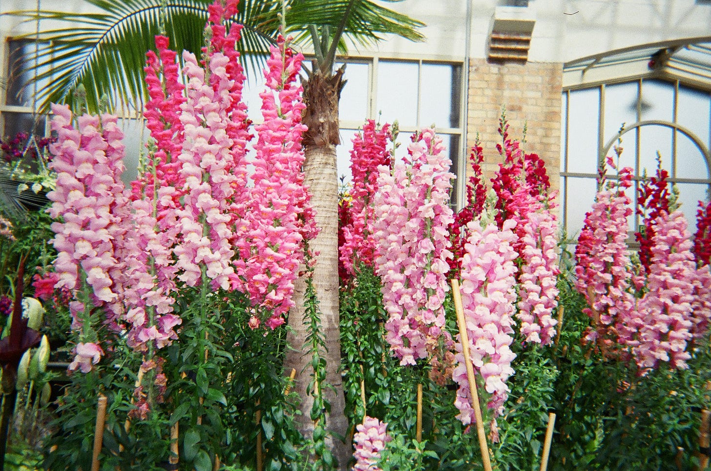 '25 Good Things from 2025 - by Sophie P - Sophie’s Substack