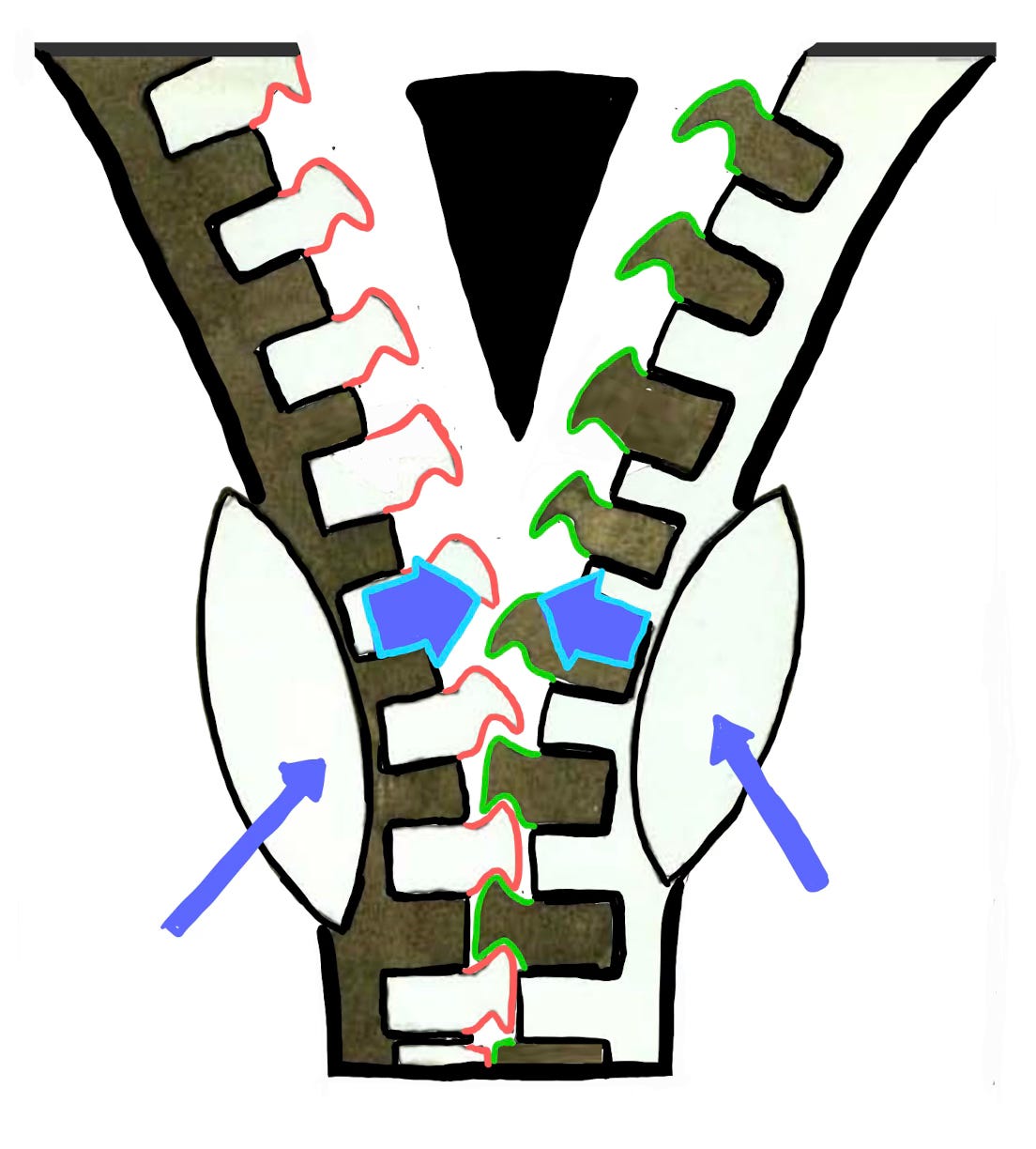 How Zippers work? - by Aditya Sharma - Science Sundays