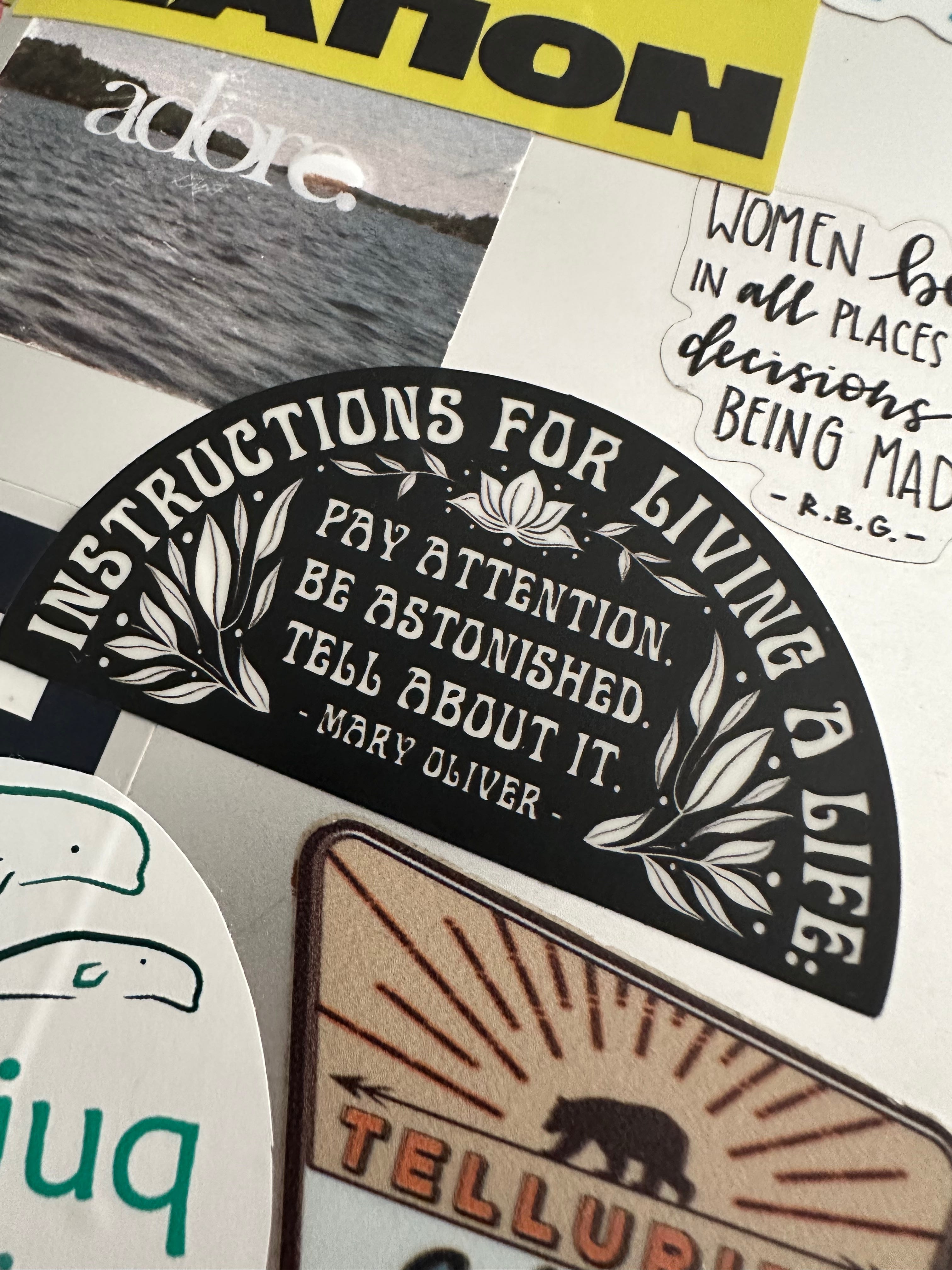 Carney in Davos, me in New York - by Gill Deacon