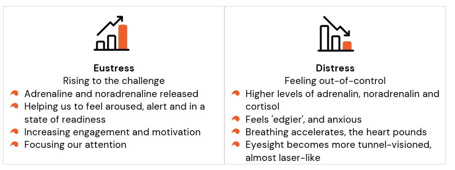 #12 The tipping point: when stress helps and when it doesn’t
