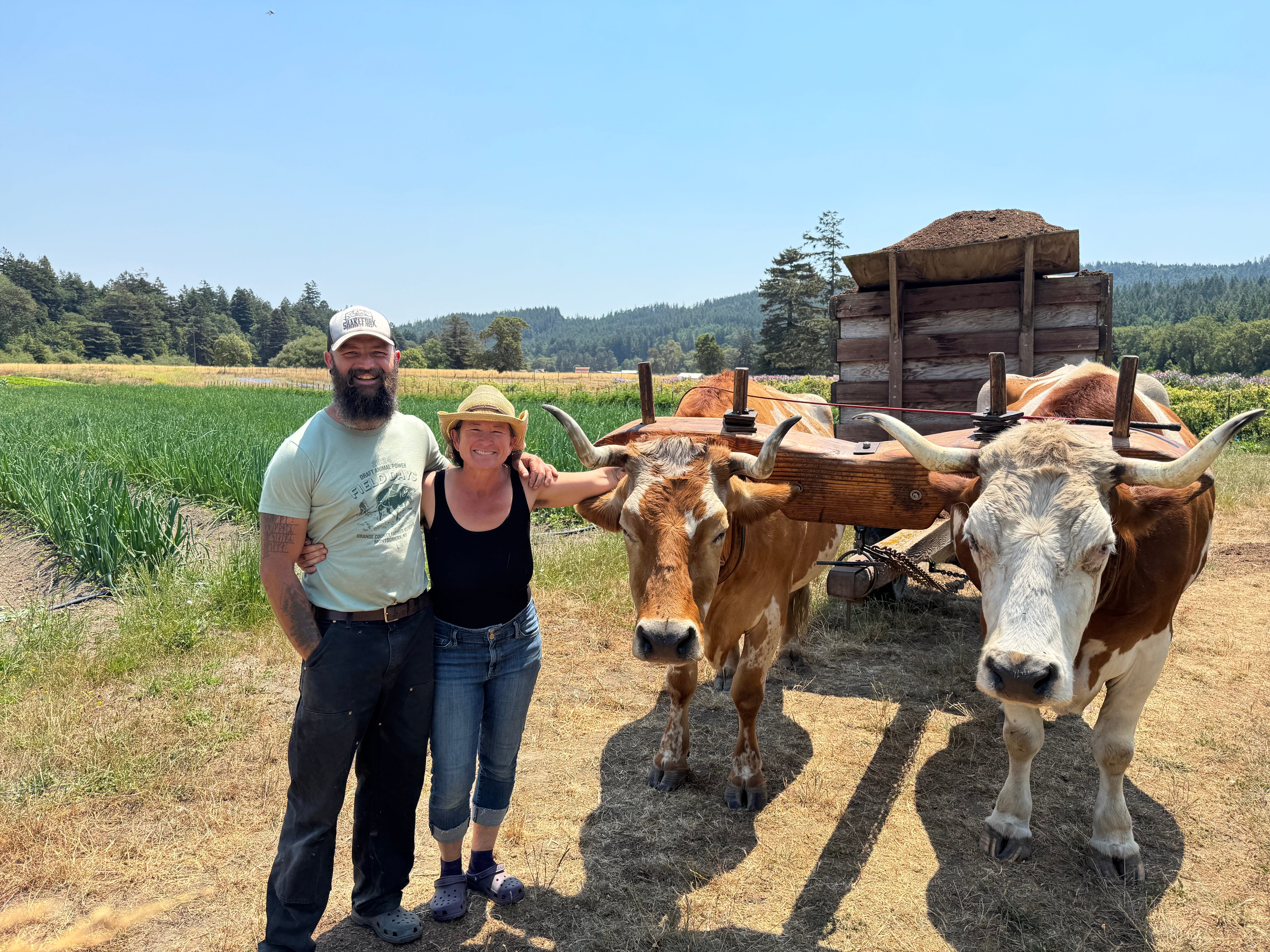 Draft Cattle Farm Design - Cattle Culture