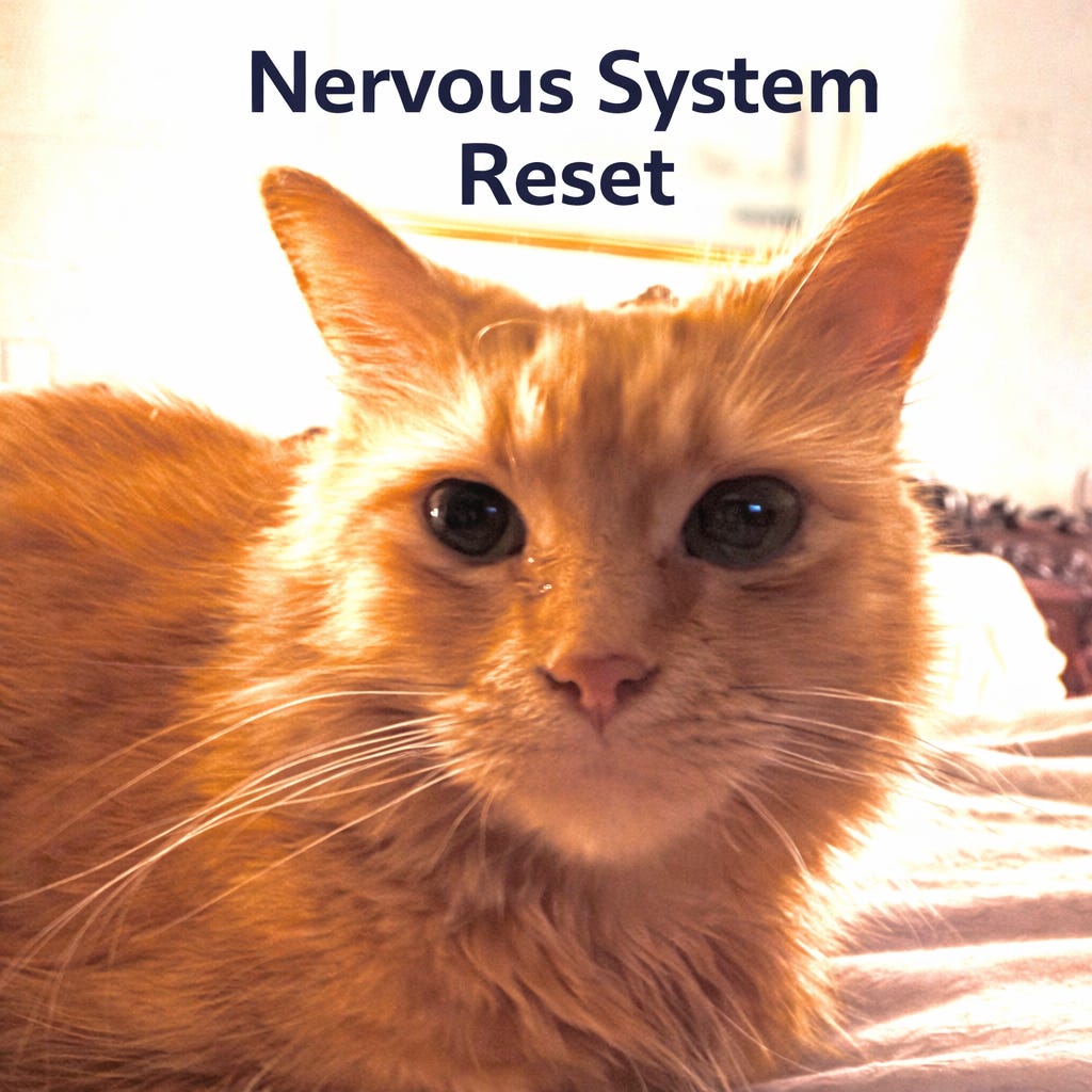 Helping Animals Heal: A Nervous System Reset Protocol for Trauma and ...
