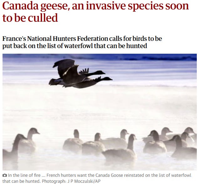 We’re Not Sending Our Best - US Bird History