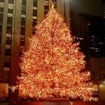 Getting the Tree - Kristan Higgins
