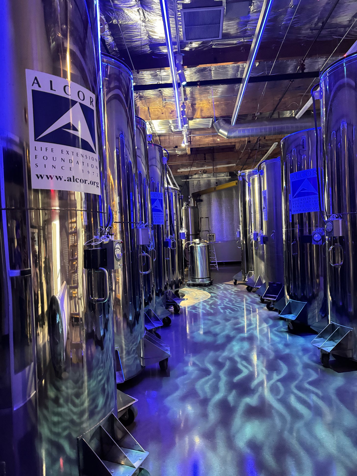 Inside the World's Largest Cryonics Facility, Where Death May Be Just a ...