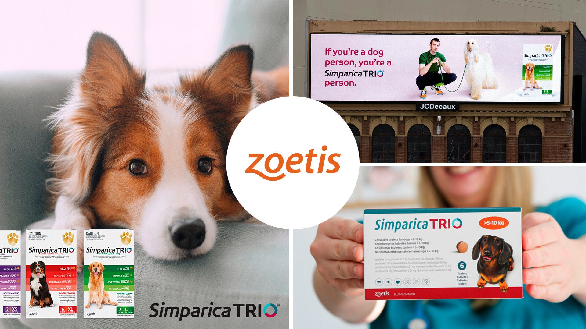 Zoetis: A Best-in-Class Animal Health Company on Sale