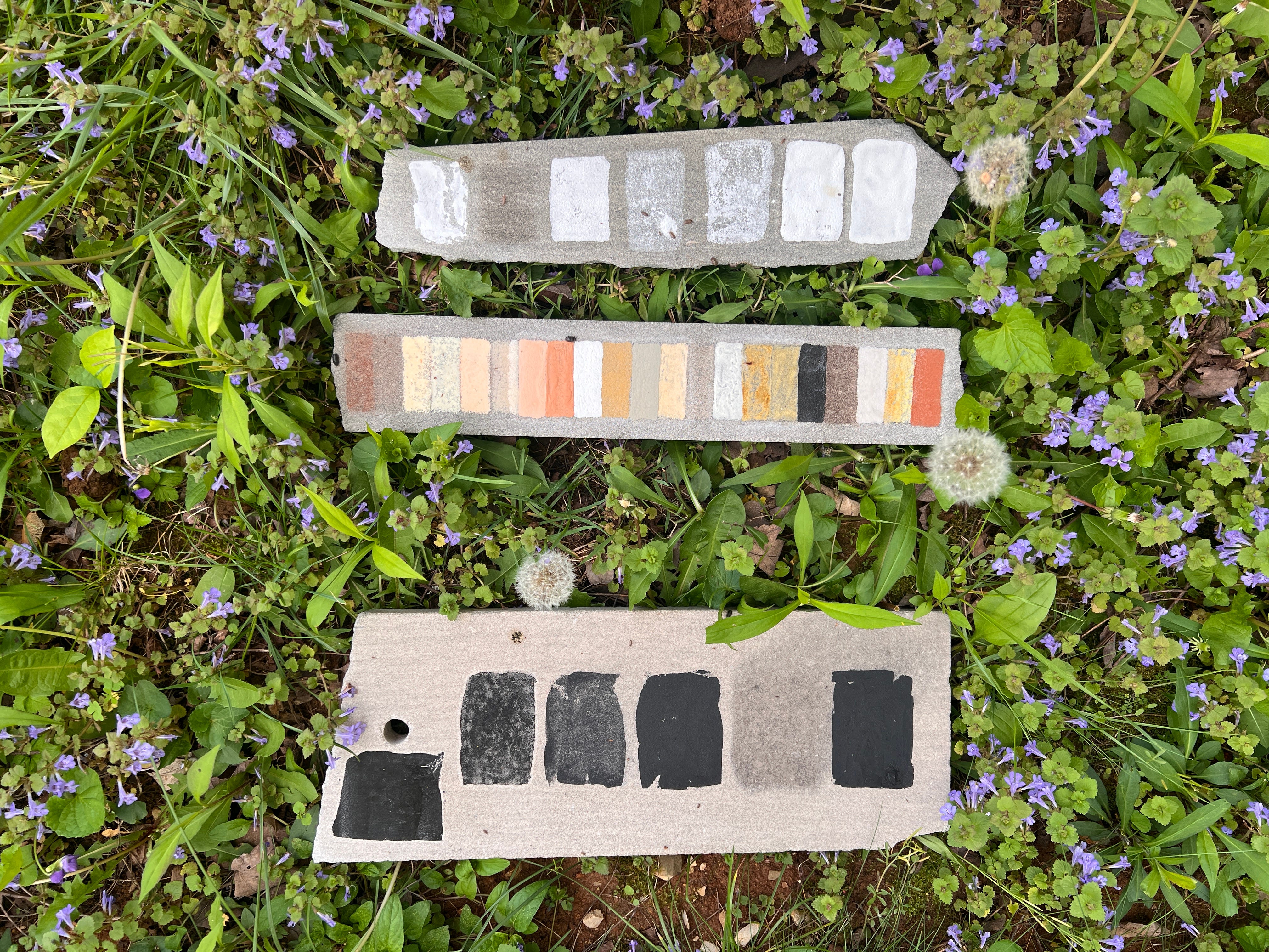 Testing Natural Paint Binders - by Rachel Kavathe Studio