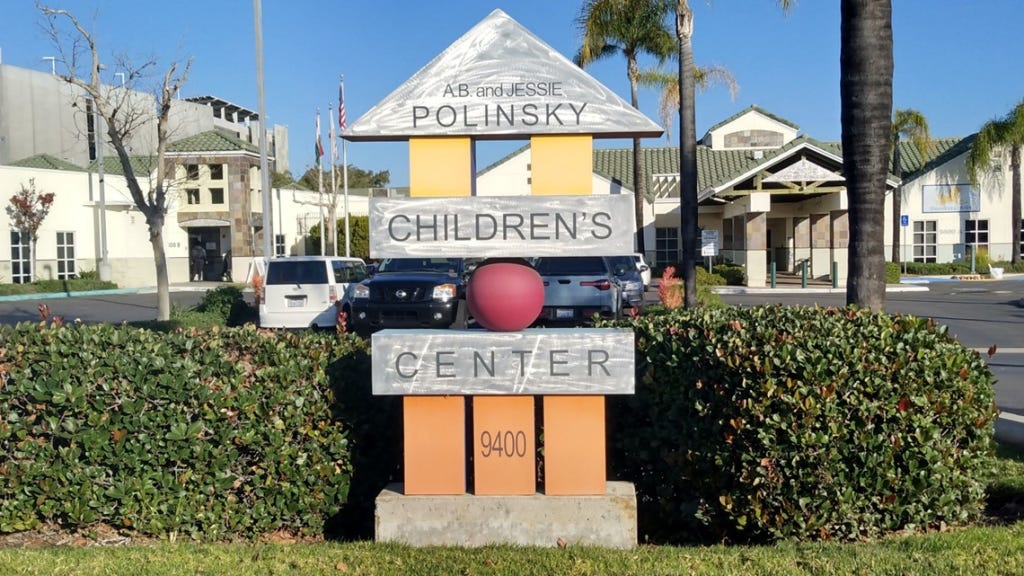 From Safe Haven to Systemic Betrayal: How San Diego’s Polinsky Children ...