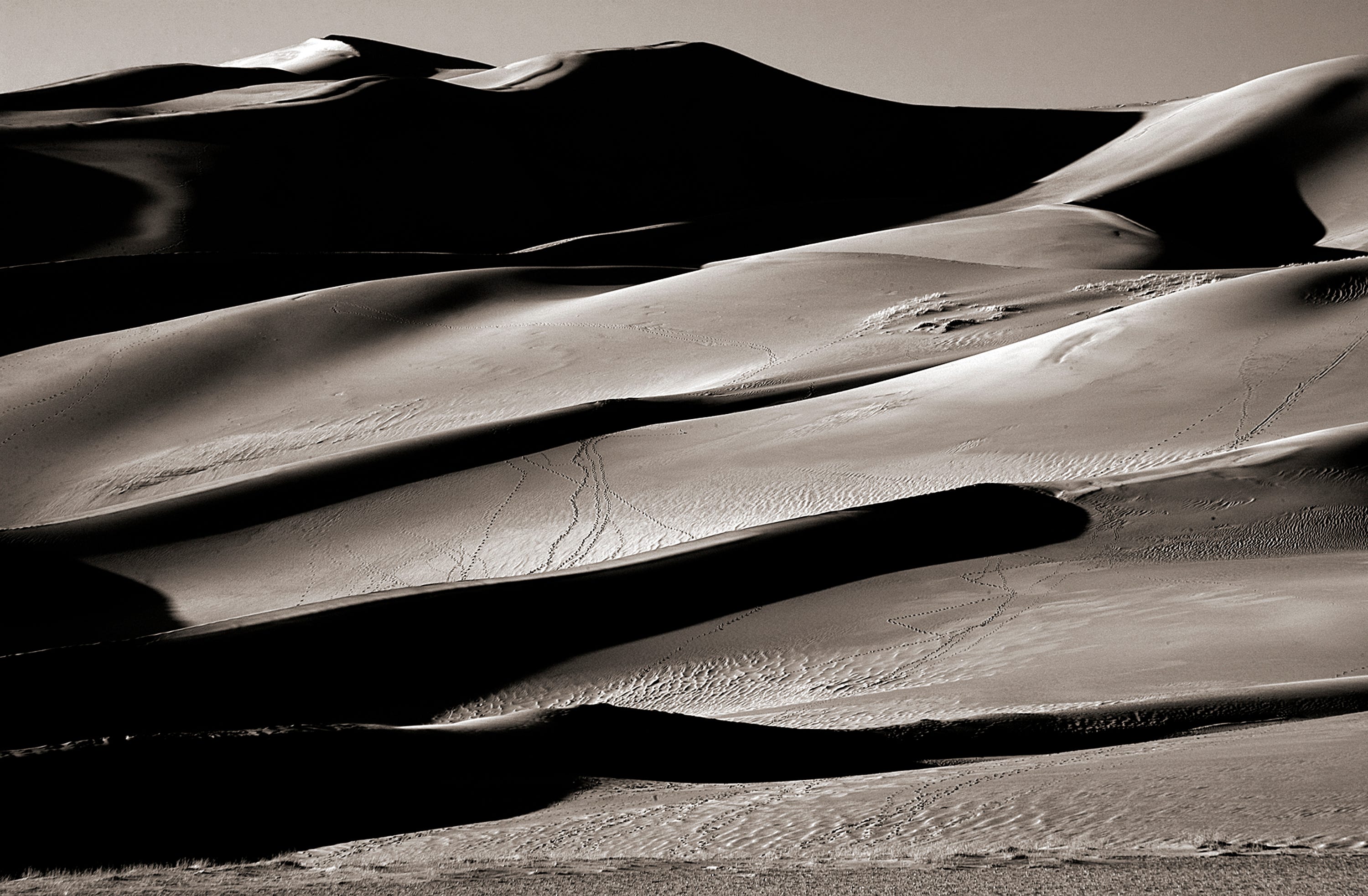 Sea of Sand - by Steve Immel - In the Moment