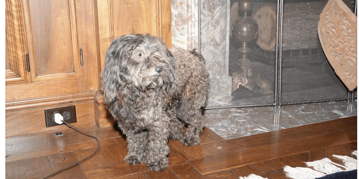 JEFF'S CHRISTMAS GRAB BAG - by Nina Burleigh