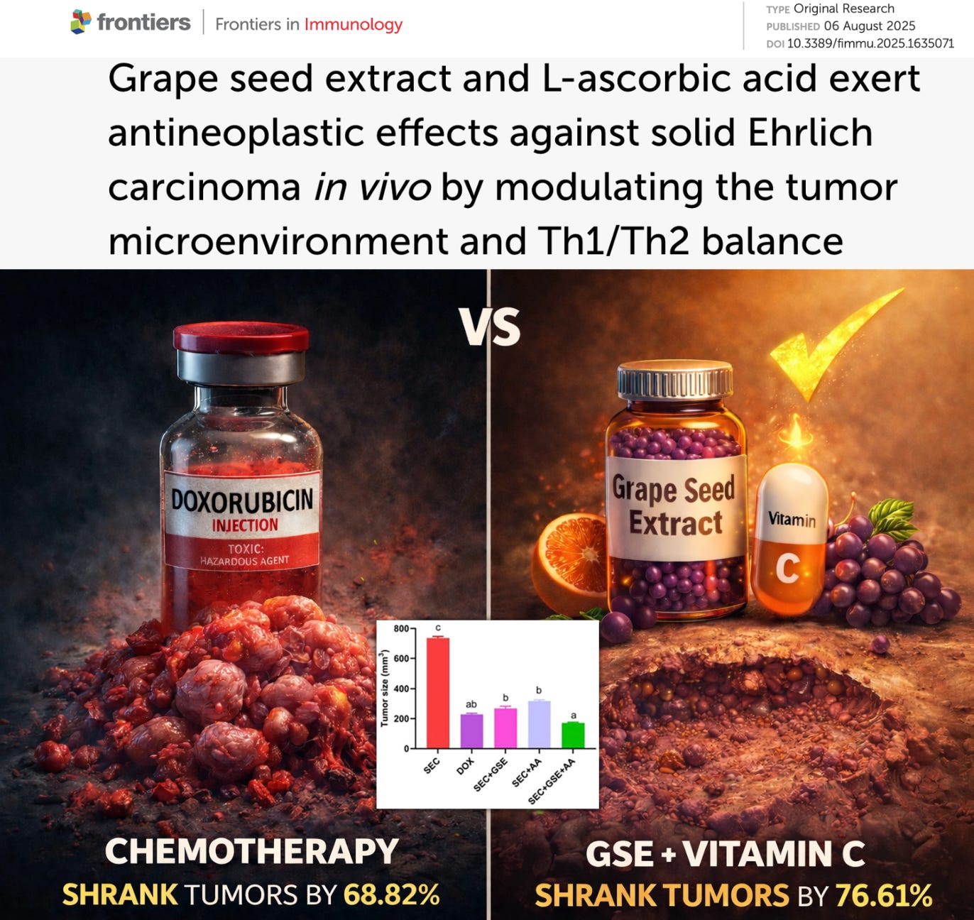 STUDY: Vitamin C + Grape Seed Extract Outperforms Chemotherapy for ...