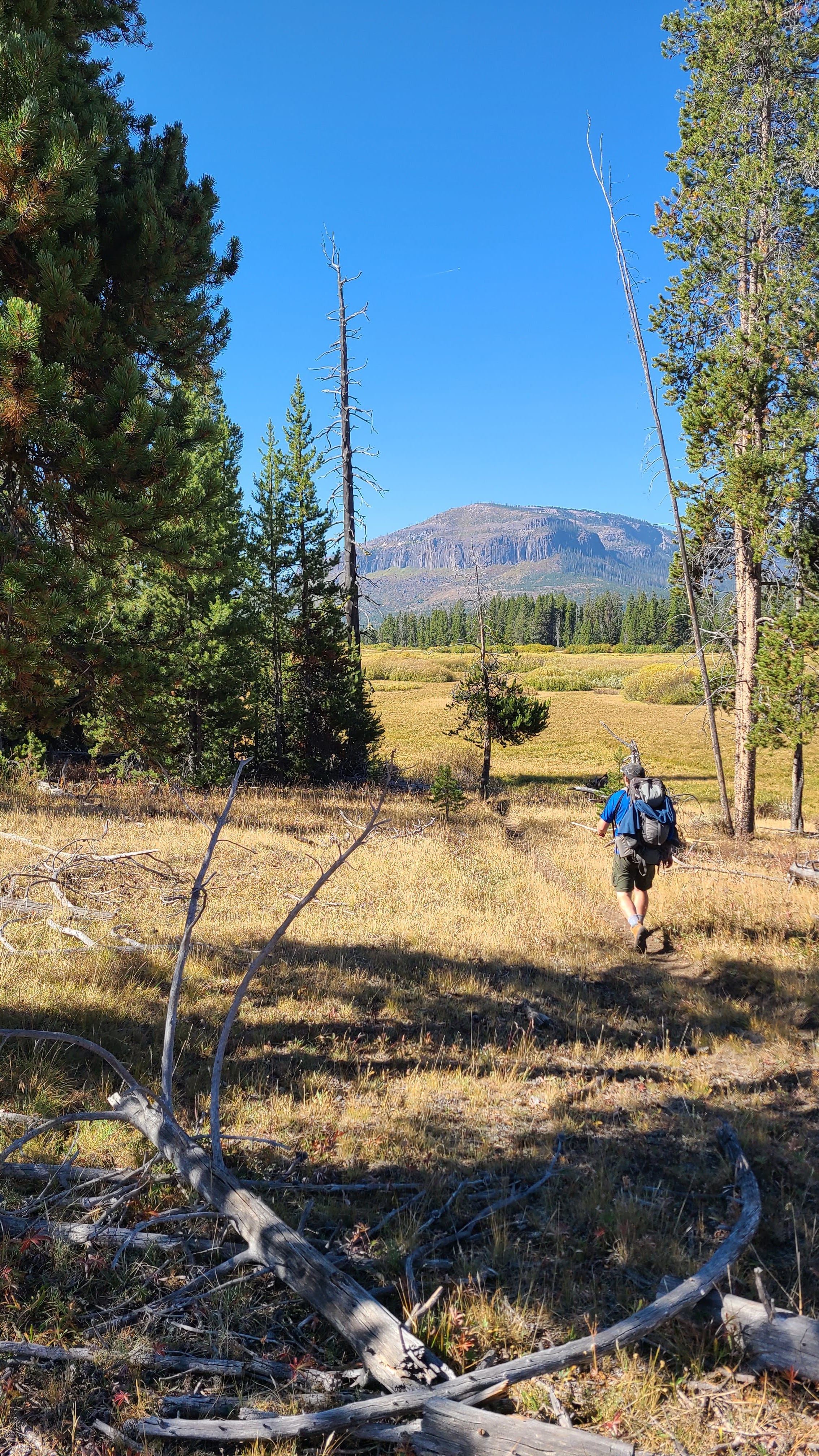 The Thorofare -- Yellowstone National Park, September 2024 (part 8)