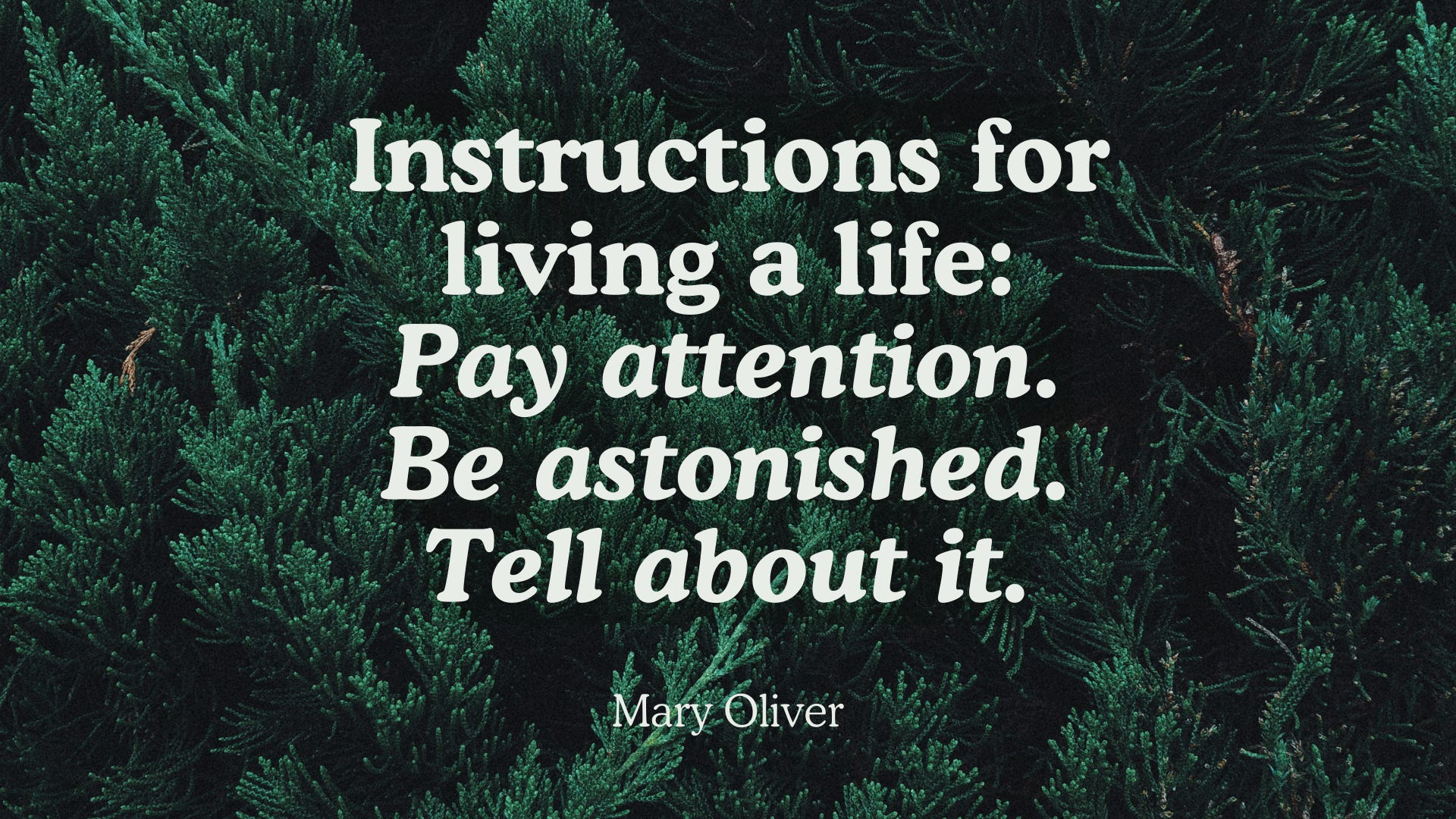 Instructions for Living Life in 2026 - by Jillian Bybee, MD