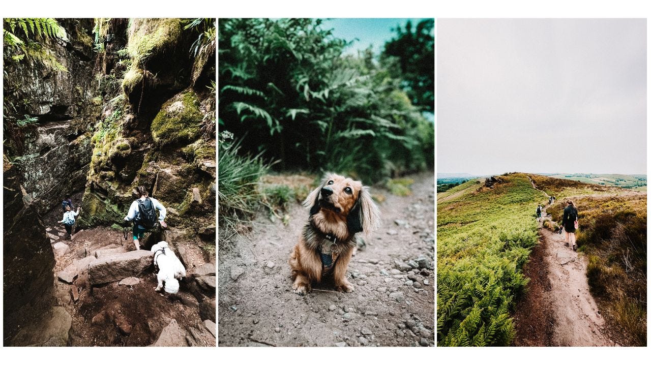 Hiking 101: A Simple Guide to Starting Hiking... Finally!