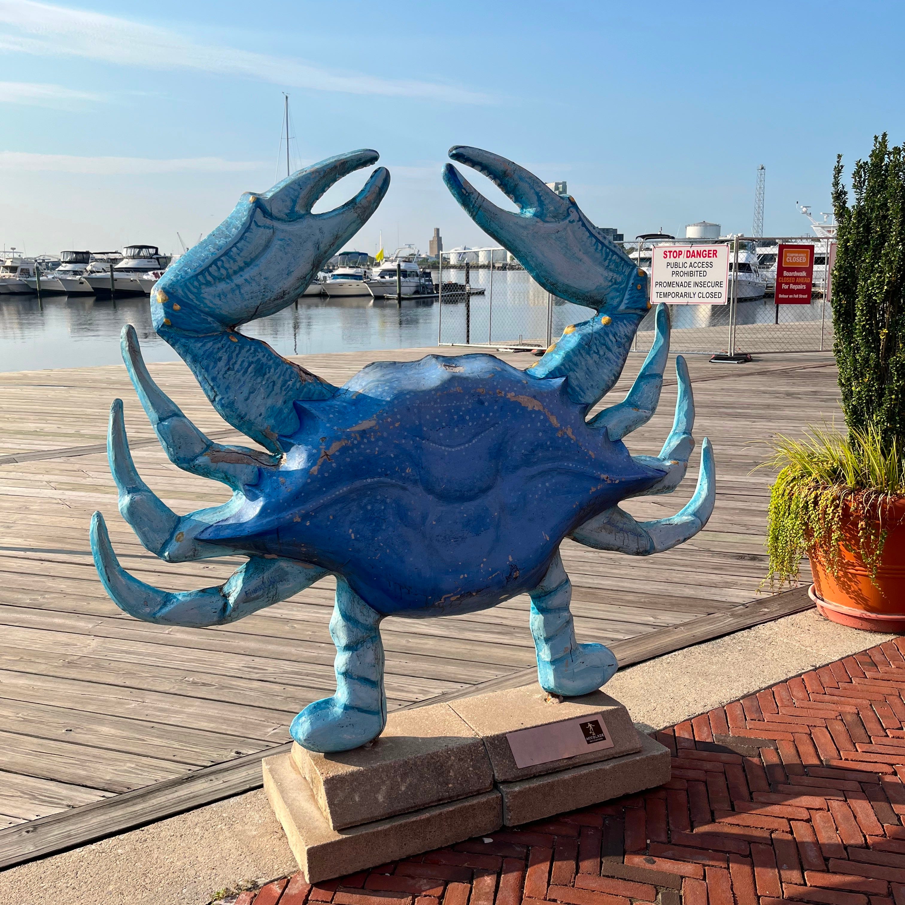 Catherine Falconer | Substack