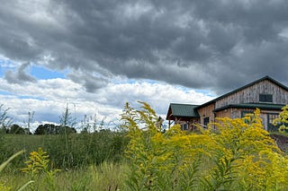 House of Green | Alexandra Fasulo | Substack