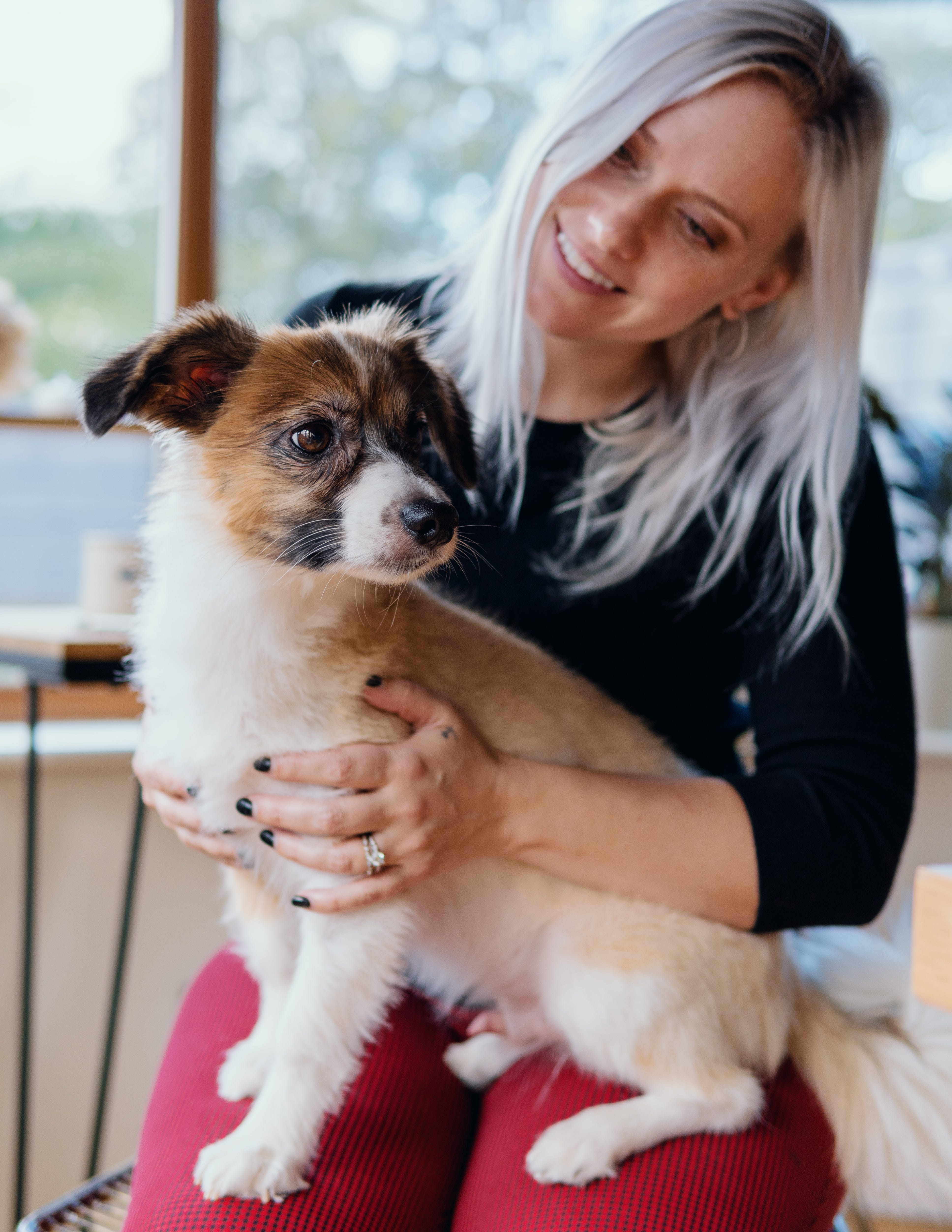 Nikki Anderson | Substack