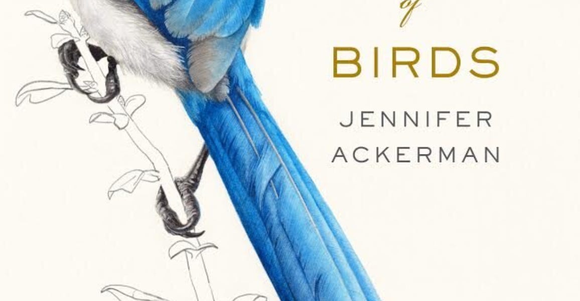 “The Genius of Birds” by Jennifer Ackerman
