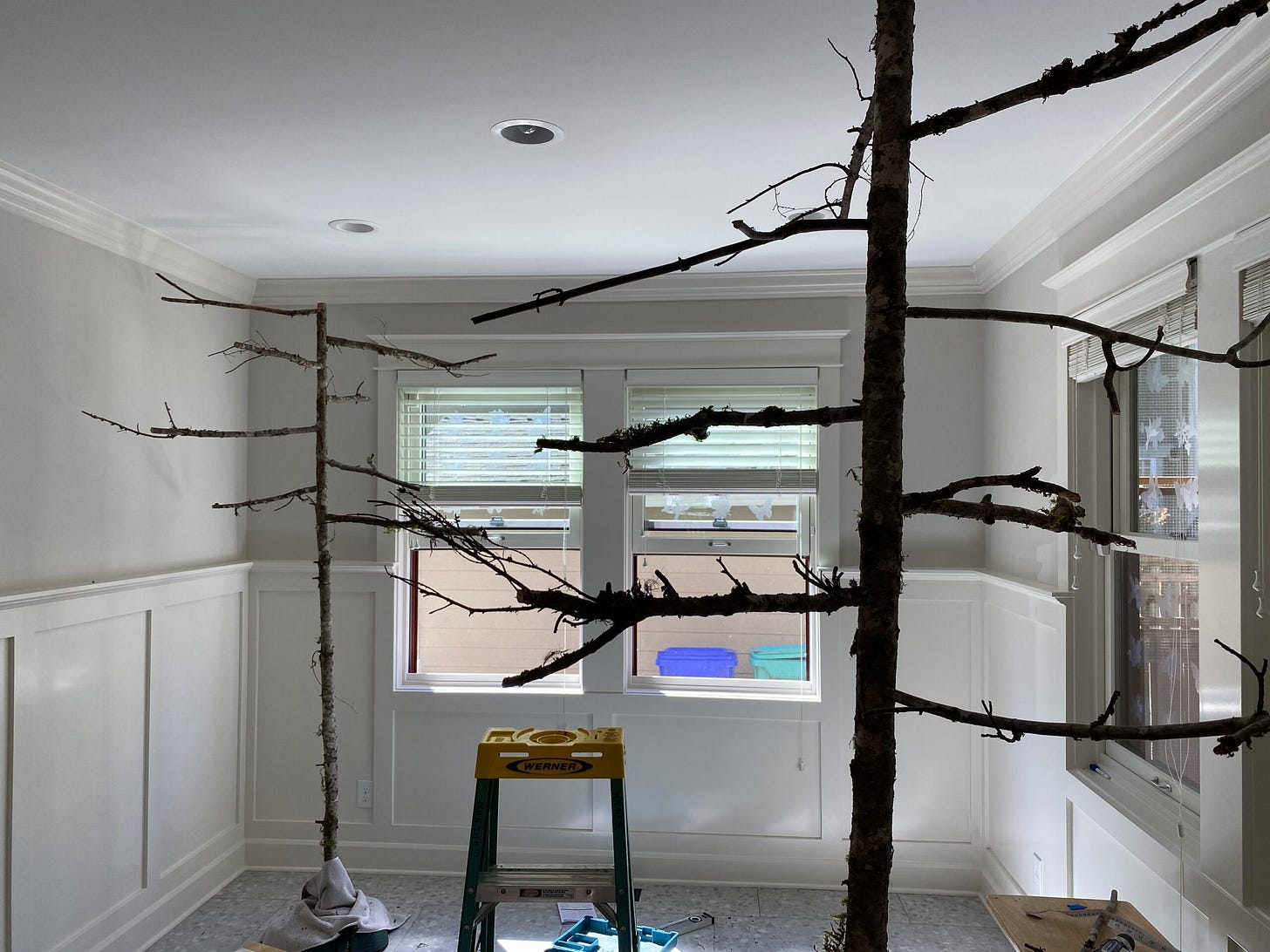 How I made “perch trees” for our aviaries