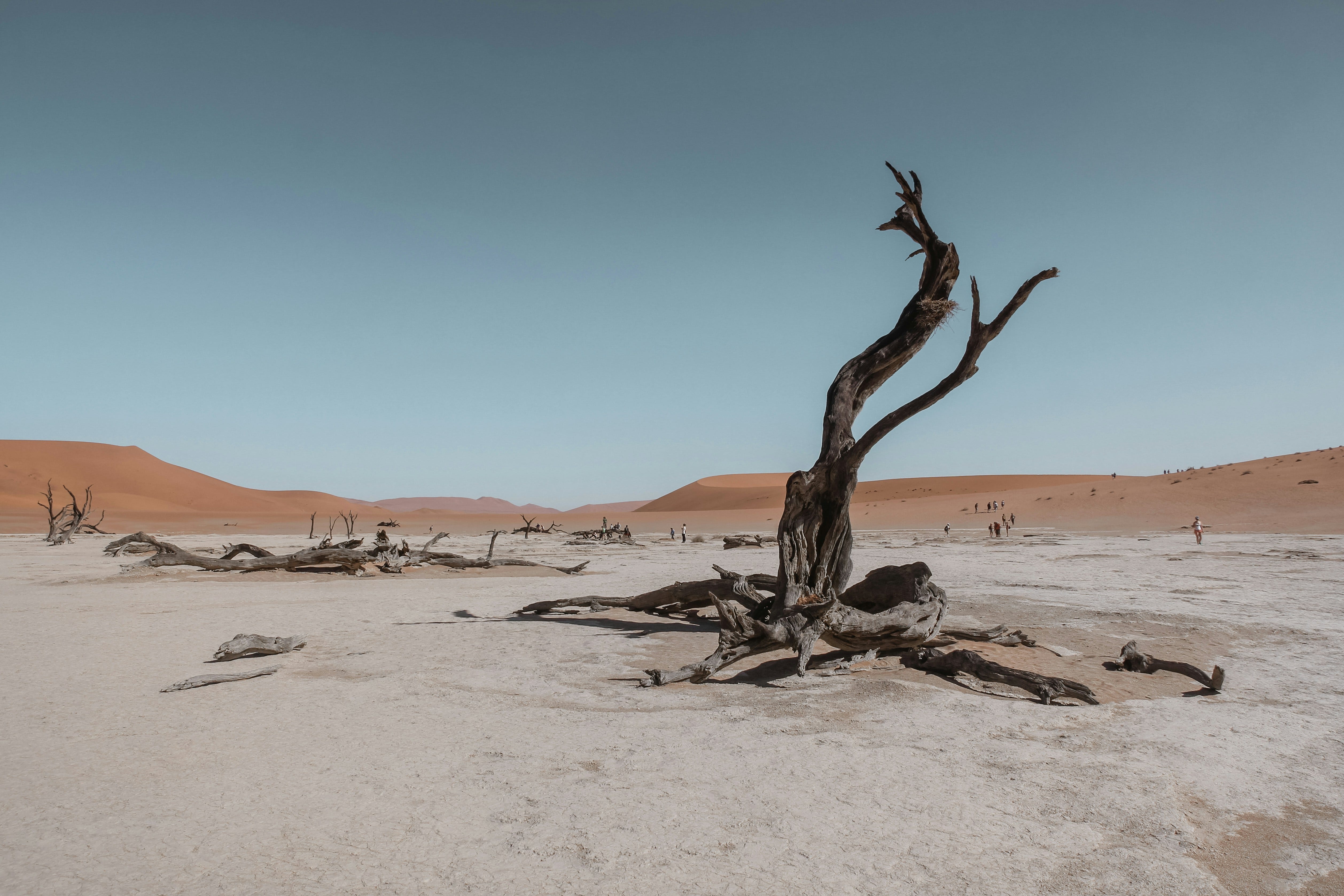 The Elemental Language of Grief - by William O’Neill