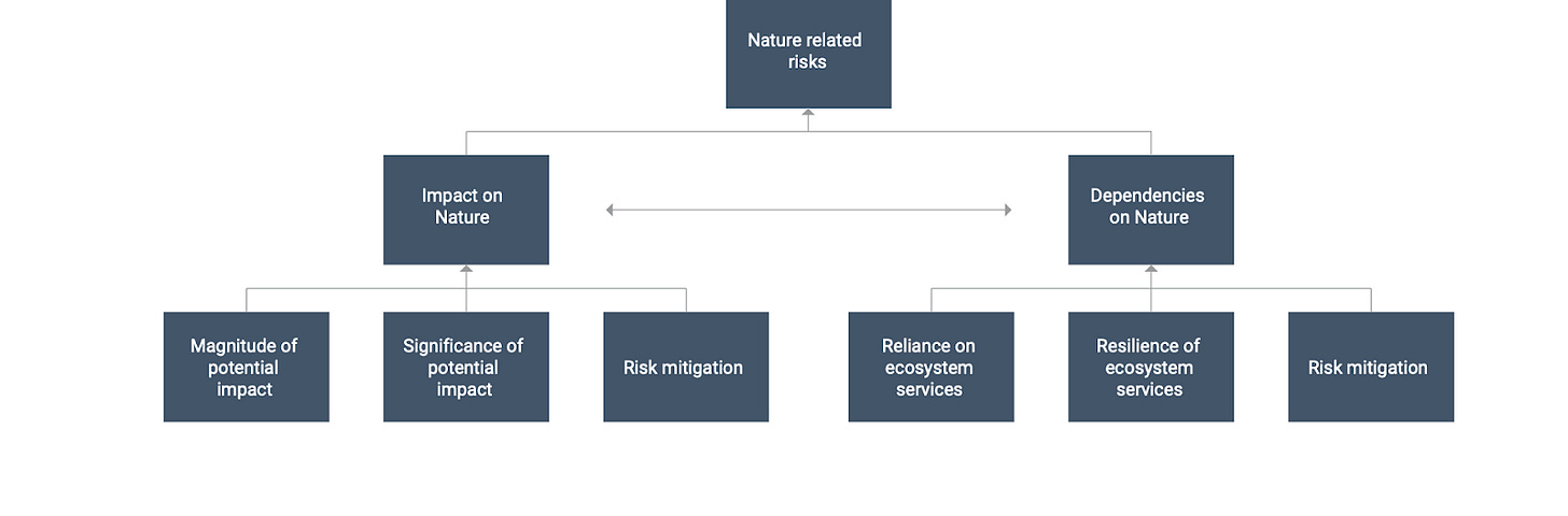 What are nature risks? - Ecomonitor Dispatch