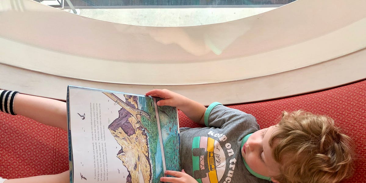 25 of The Coolest Things You Can Get From the Library