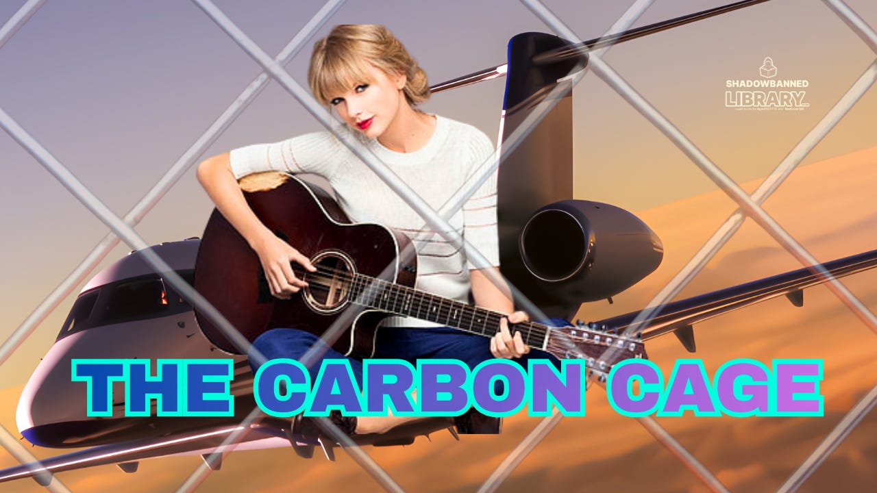 The Carbon Cage Part 3 - Medicine Girl’s Substack