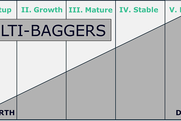 100 Bagger Hunting | Kevin | Substack