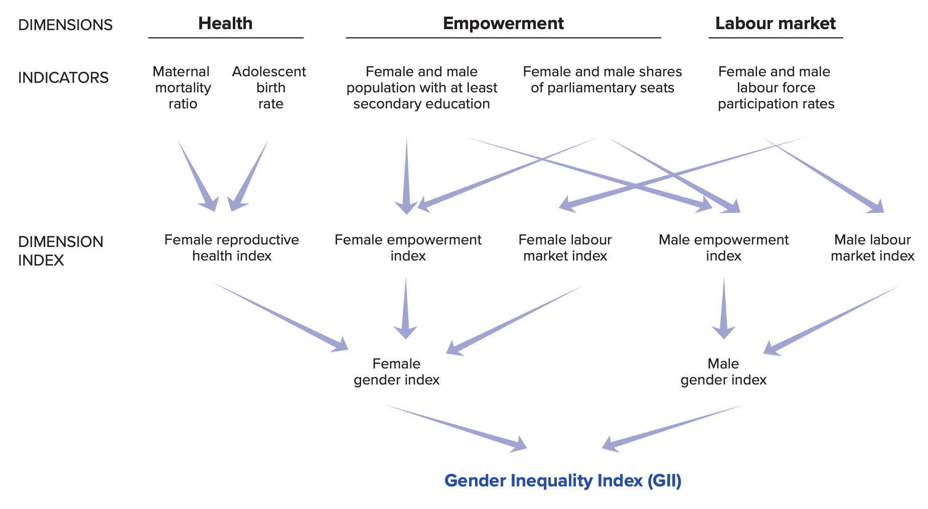 Designed to discriminate: how the UN’s Gender Inequality Index always ...
