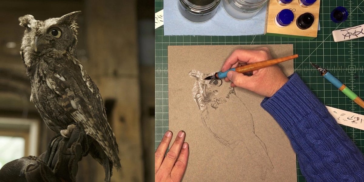 Cozy Draw And Chat - by Susannah Fisher