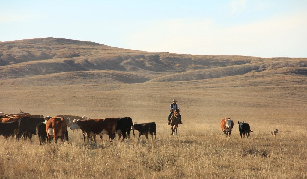 Neighbors of indicted South Dakota ranchers speak to decades of ...