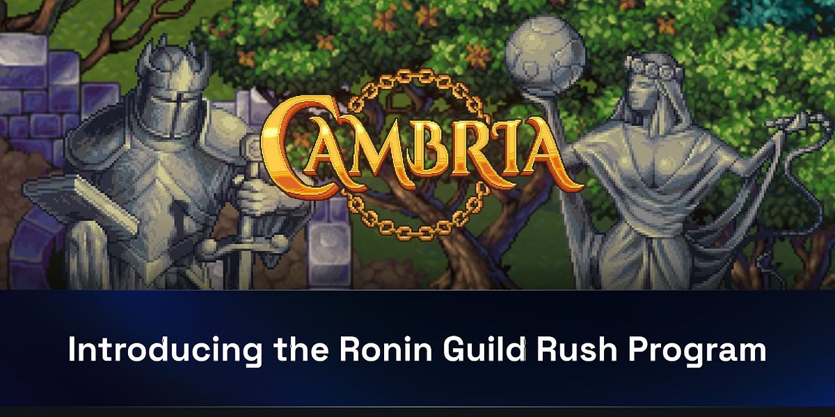 Introducing the Ronin Guild Rush Program!