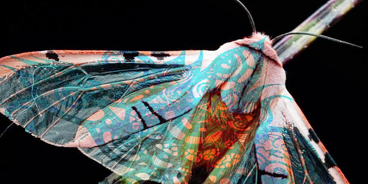 Directed Evolution of US, not "Viruses"... through Voltage & Light: The ...