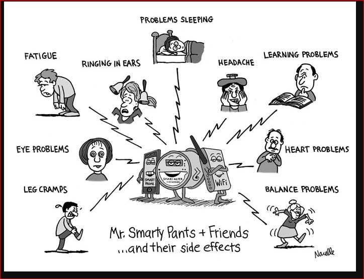 What is AMR/AMI/Analogue and What is All the Fuss About an Electric Meter?