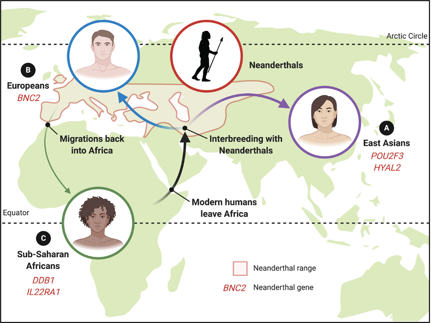 The Curse Of The Neanderthals - by Texas Arcane