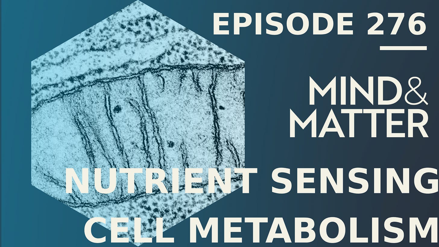 AMPK: Biochemistry of Nutrient Sensing, Fasting, Cell Repair & Growth ...