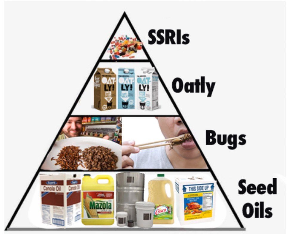 REAL FOODsteria: Best Food Pyramid Memes