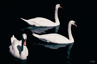 Philippa Perry | Substack