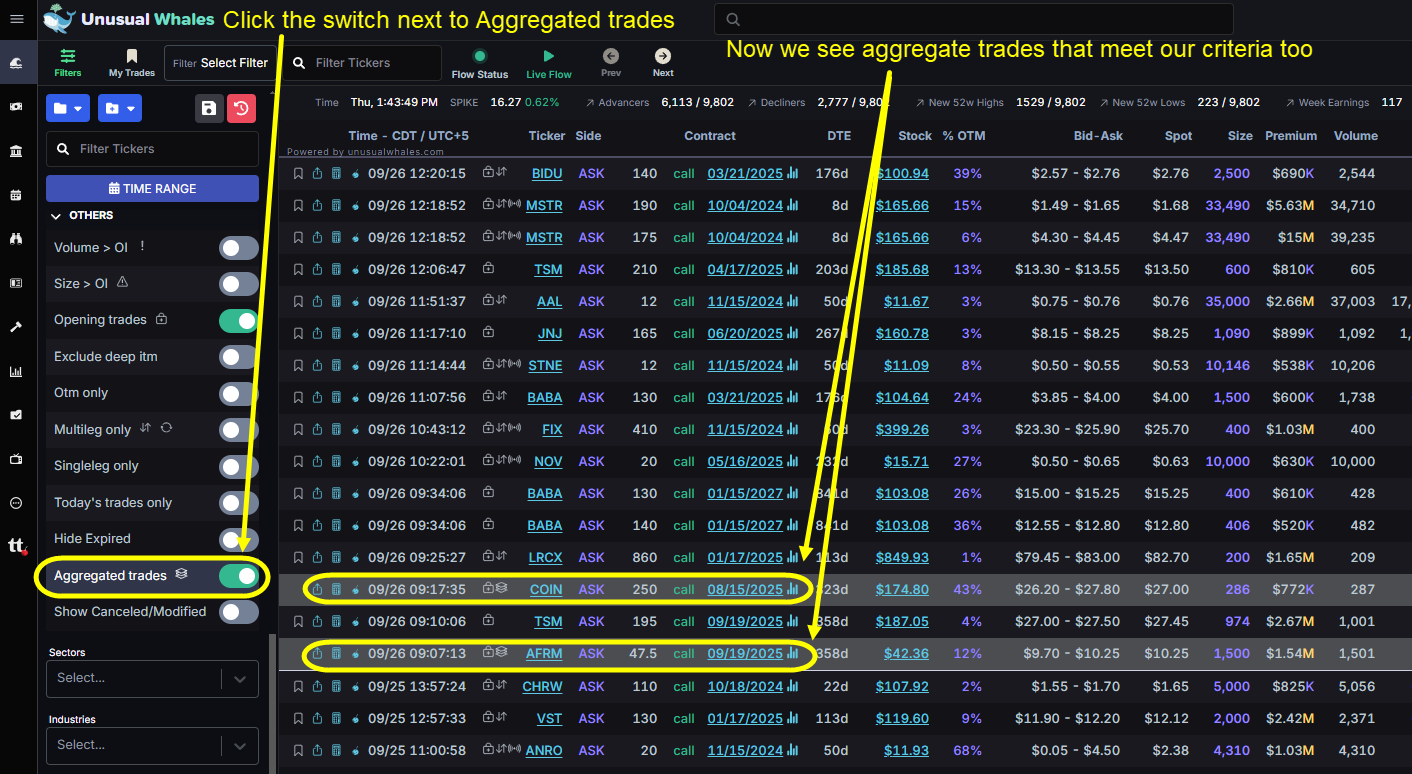 Unusual Whales Flow Filter Walkthrough and how to use our API for your ...
