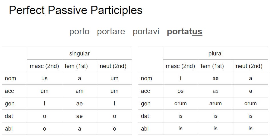 Perfect Passive Participles in Latin - by Ellen - bambasbat