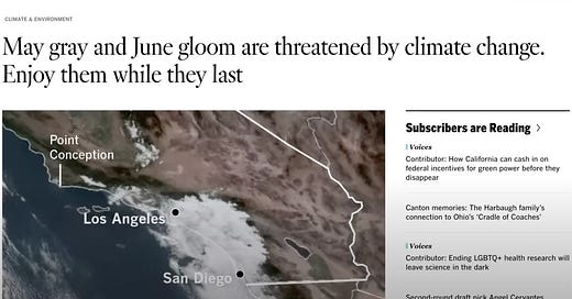 Peggy Hall | Substack