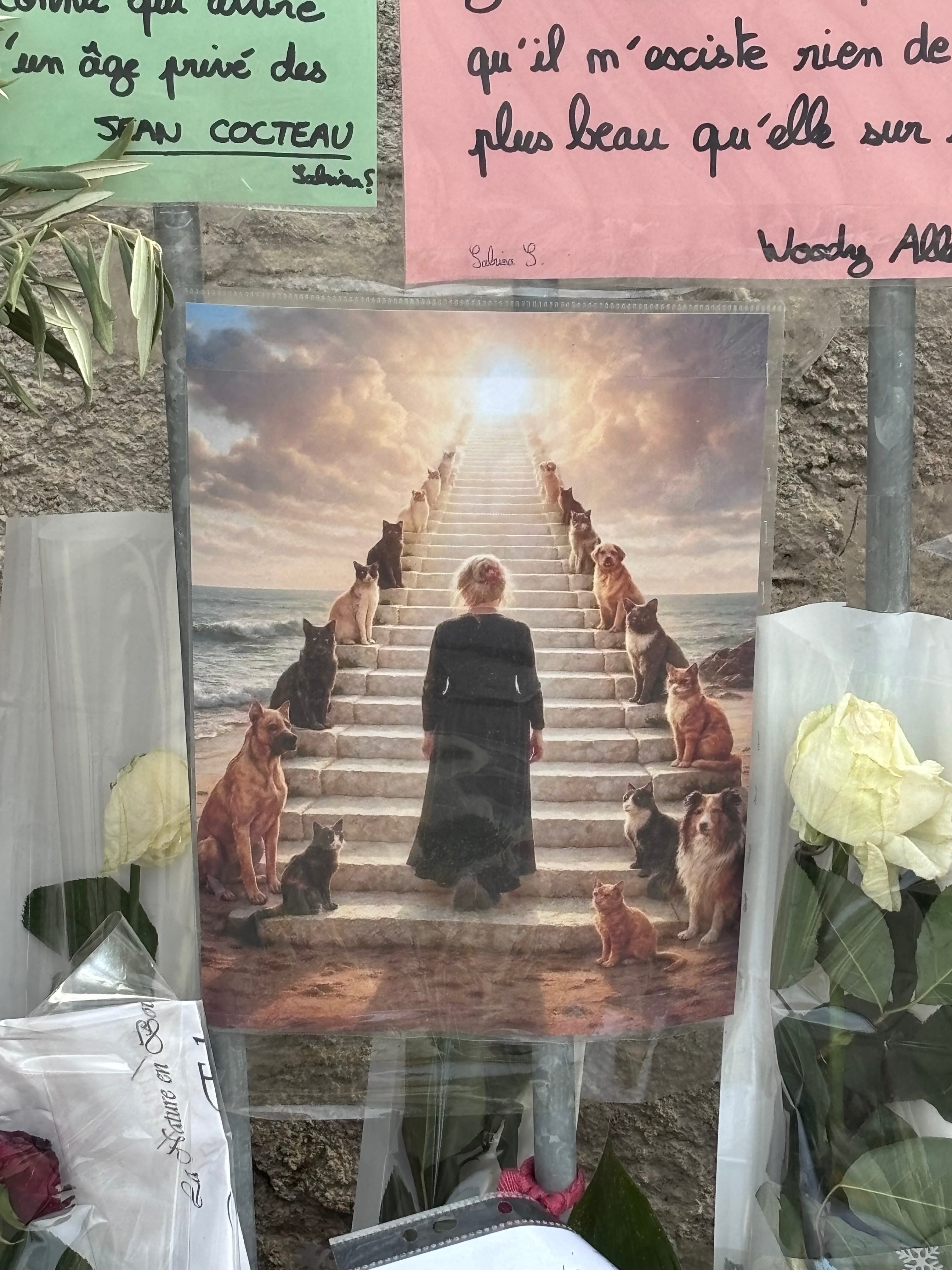 Bye Bye, Bébé - Dana Thomas