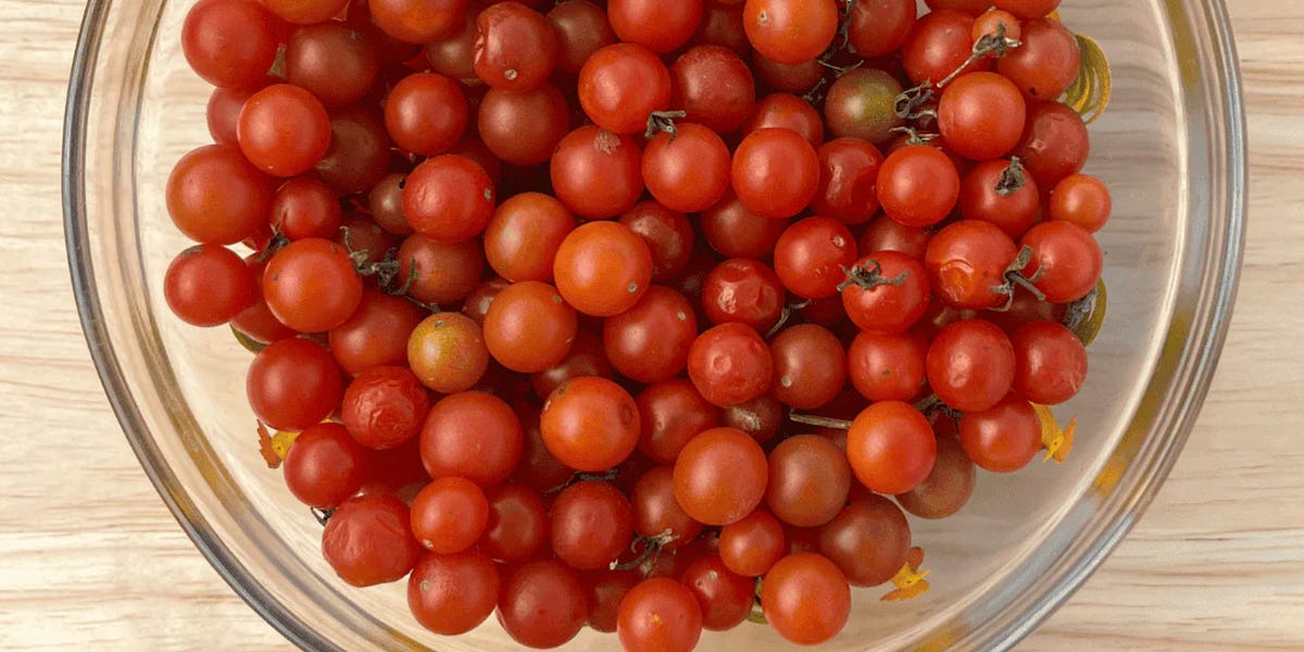 An 80,000-year history of the tomato - by Evan DeTurk