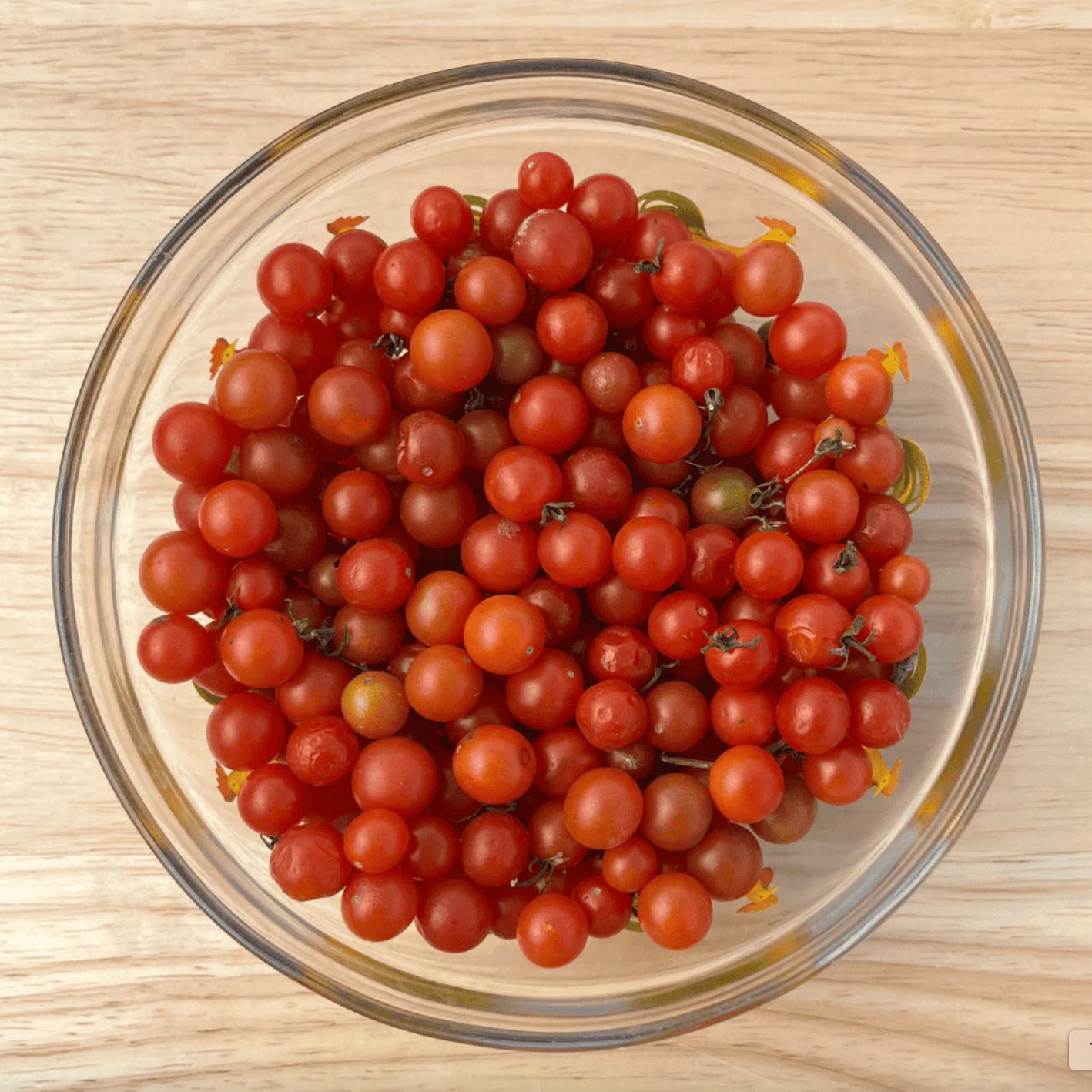 An 80,000-year history of the tomato - by Evan DeTurk